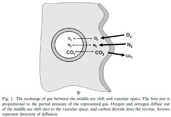 중이 무기증(Middle Ear Atelectasis)의 원인과 치료 : 네이버 블로그