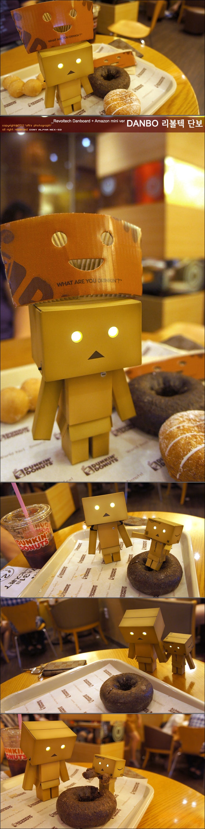 Revoltech Danboard + Amazon mini ver. DANBO (리볼텍 단보 + 아마존한정판미니) : 네이버 블로그