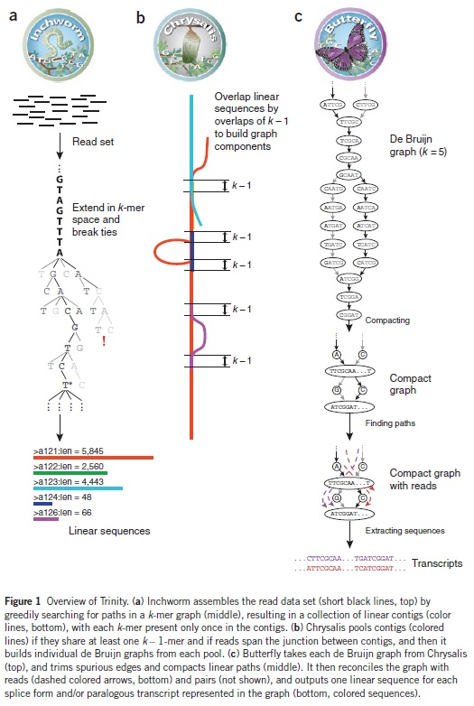 Trinity - transcriptome assembly program - FAQ : 네이버 블로그