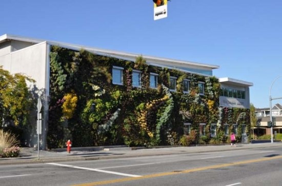 Semiahmoo Library Green Wall : 네이버 블로그