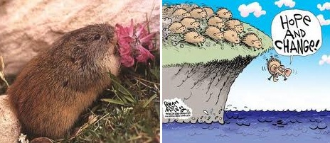 레밍 효과 (Lemming effect ) : 네이버 블로그