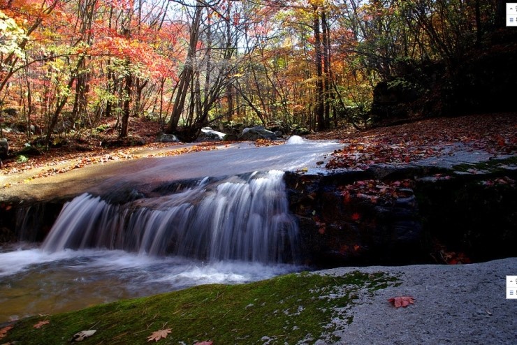 우리나라 가을 단풍산/설악산소나무 지리산 속리산 북한산 내장산 백양사 우리나라 가을 단풍산/설악산소나무 지리산 속리산 북한산 ...