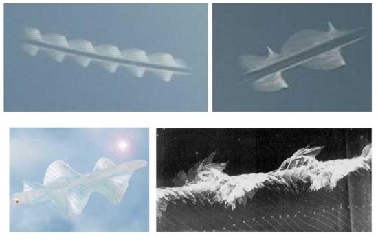 스카이피쉬(Skyfish, 일명 Rods) : 네이버 블로그