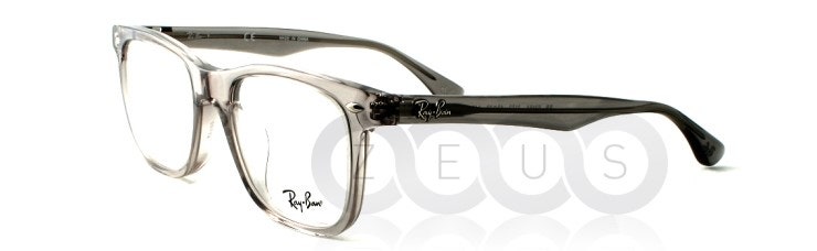 레이벤5248 [RB5248 2102]-2011년 레이벤 신상제품 : 네이버 블로그