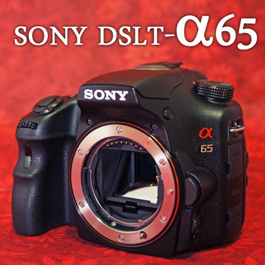 a65) 소니 알파65를 살펴보다- 사용기 전 이야기 (sony DSLT A65 : 네이버 블로그