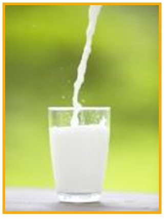 우유로 만든 섬유/큐밀크(Qmilch) /우유로 만든 섬유 개발/우유로 만든 옷 : 네이버 블로그