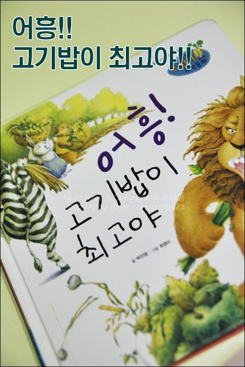 독후활동 어흥 고기밥이 최고야 네이버 블로그