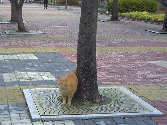 버리지 마세요~!! : 네이버 블로그