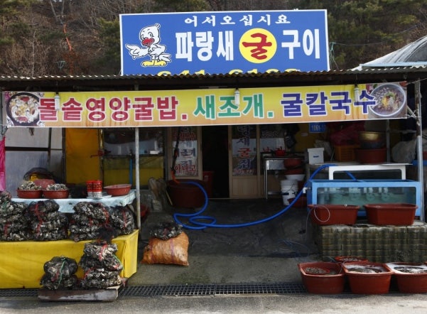 파랑새굴구이 충남 보령맛집보령음식점보령조개구이보령활어회보령전어회보령전어구이보령갱개미회보령대하보령아나고회새