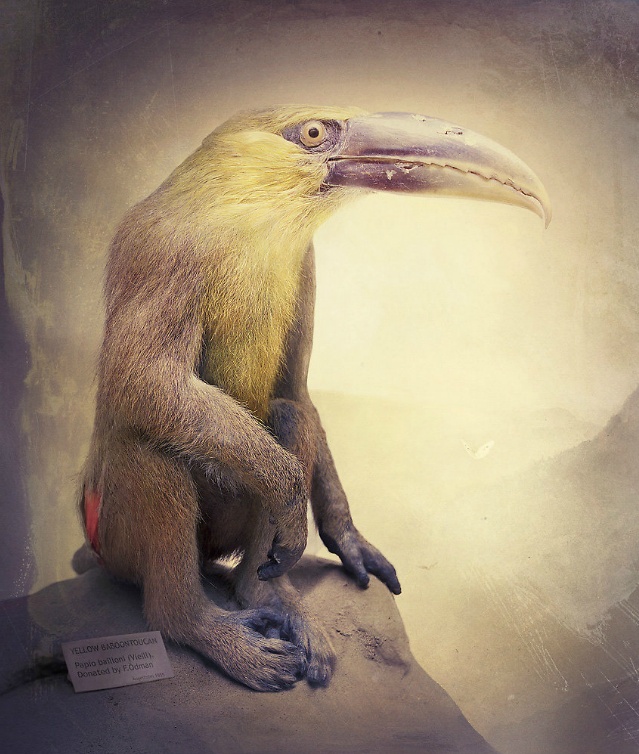 Fredrik Odman의 변형동물들(Composed Animals) : 네이버 블로그