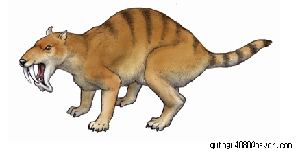 호플로포네우스(Hoplophoneus)-스밀로돈(Smilodon)과 유사한 원시 검치호랑이- : 네이버 블로그