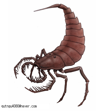 스틸로누루스(Stylonurus)-걷는 바다전갈- : 네이버 블로그