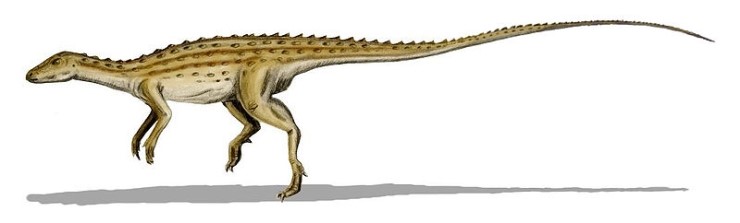 스쿠텔로사우루스[Scutellosaurus] : 네이버 블로그