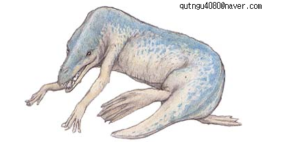 로도케투스(Rodhocetus)-고대고래류와 우제류의 연결고리- : 네이버 블로그