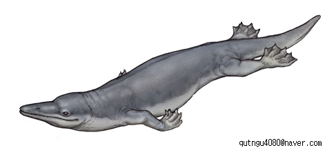 조지아케투스(Georgiacetus)-가설 브레이커(Breaker)- : 네이버 블로그