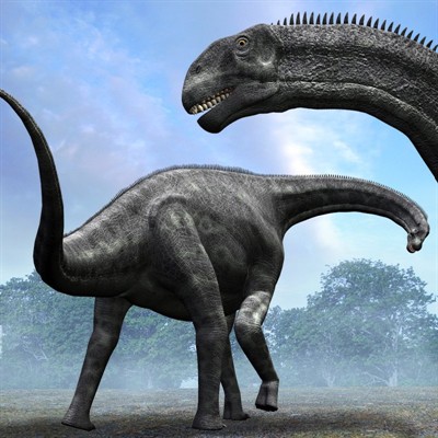 케티오사우루스[Cetiosaurus] : 네이버 블로그