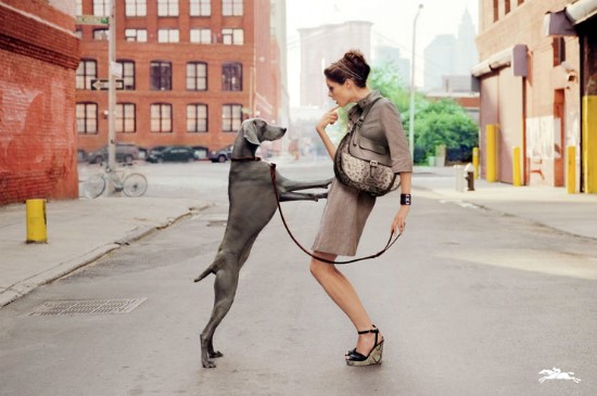 롱샴(LONGCHAMP)의 새로운 광고 캠페인 `오! 마이 도그(Oh! My dog)` : 네이버 블로그