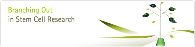 merck millipore stem cells : 네이버 블로그