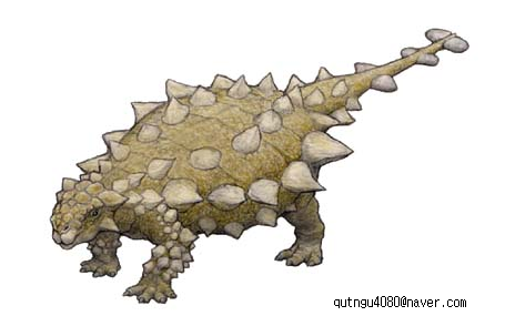 사이카니아(Saichania)-아름다운 곡룡(Ankylosauridae)- : 네이버 블로그
