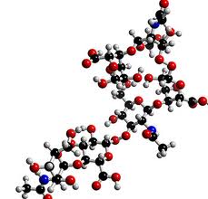 자신있는 몸매를 위한 방법 LLD : 네이버 블로그