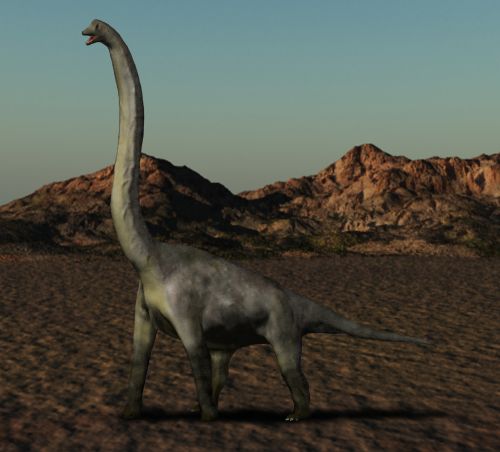 퀴오안롱 캉크시[Qiaowanlong kangxii] : 네이버 블로그