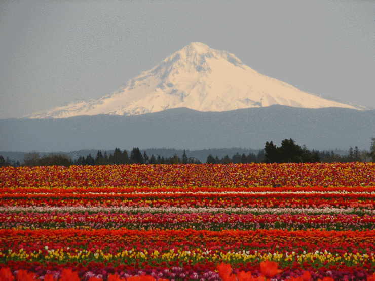 밤에 자고 낮에 깨고 : 네이버 블로그