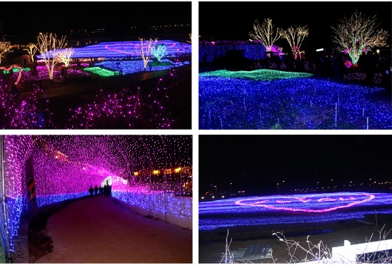 파주 프로방스 마을 "빛축제" : 네이버 블로그