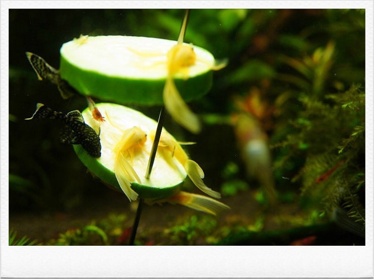 남녀공학...맞니?^^ : 네이버 블로그