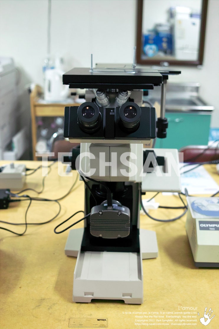 OLYMPUS PME3 (PMEB) 올림푸스 도립현미경 : 네이버 블로그