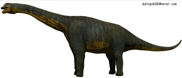 파랄리티탄(Paralititan)-조수의 거인- : 네이버 블로그