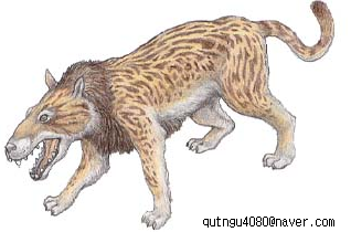 시노닉스(Sinonyx)-중국의 발톱- : 네이버 블로그