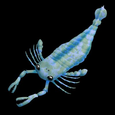 프테리고투스(Pterygotus)- 악어만큼 큰 절지동물 : 네이버 블로그