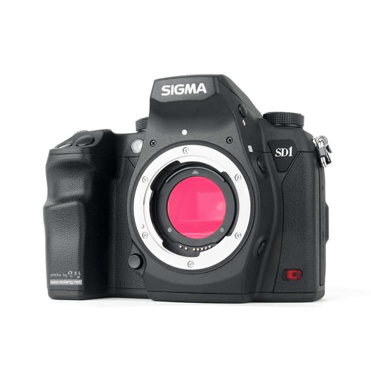 [리뷰 준비중] Sigma SD1 Merrill 시그마 SD1 머렐? 머릴? 메릴? sd1m 머라고 읽는겨??? : 네이버 블로그
