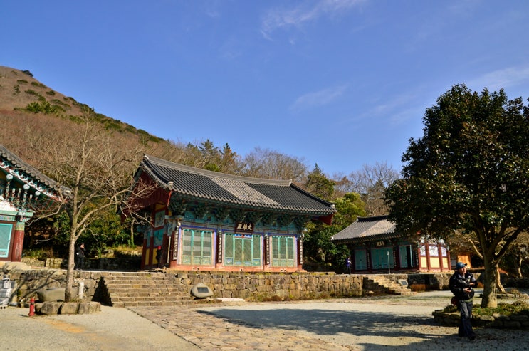 전남 진도여행 상록수림이 감싸고 계곡이 흐르는 사찰 첨찰산 쌍계사 네이버 블로그