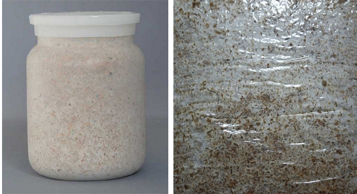 LEVIN-G 균사 : 네이버 블로그