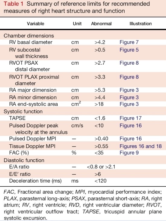 Echocardiographic assessment of the right heart in adults : 네이버 블로그