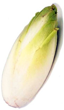 앤다이브Endive : 네이버 블로그
