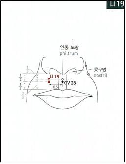 조아요의 경혈학 강의(078) : 수양명대장경 - LI19 화료(禾髎) : 네이버 블로그