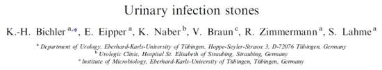 urinary infection stones : 네이버 블로그