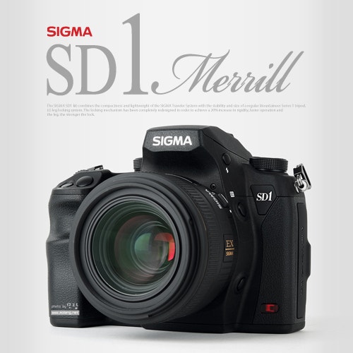 [시그마 SD1 Merrill] 단 한가지를 위해 모든걸 포기해 버린 DSLR 카메라 SIGMA [DSLR추천] : 네이버 블로그