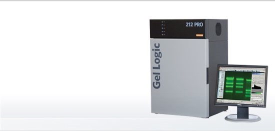 Gel Documentation System, Gel Doc, Gel Logic 212pro, GL212pro ...