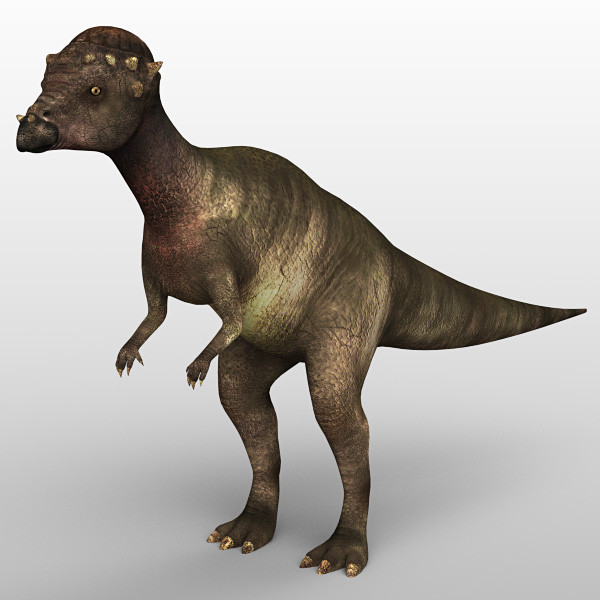 파키케팔로사우루스(Pachycephalosaurus)를 소개합니다. : 네이버 블로그