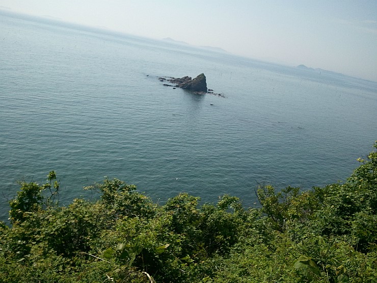 태안펜션갯벌체험안면도펜션솔향기길꾸지나무해수욕장독살체험 네이버 블로그