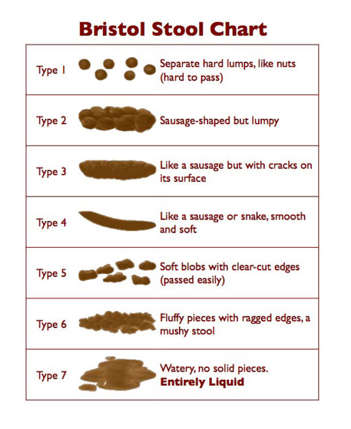 Bristol stool chart(브리스톨 대변 도표)로 보는 건강한 대변의 형태 : 네이버 블로그