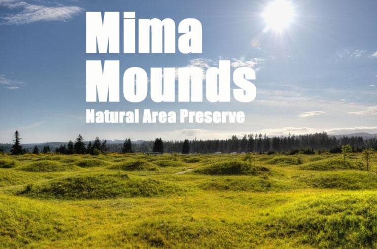 [올림피아] 신비스러운 마이머 마운즈 Mima Mounds (2012/5) : 네이버 블로그