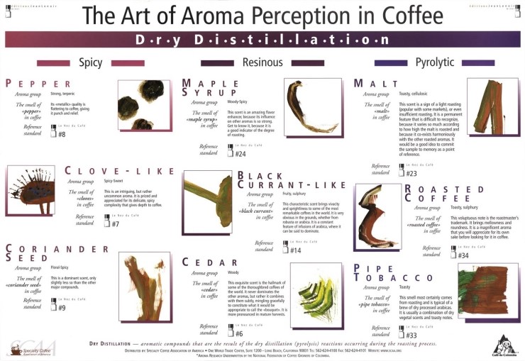 The Art of Aroma perception in Coffee - Dry distillation : 네이버 블로그