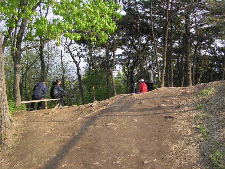 한남정맥 부천 성주산와우산 거마산 정상경기도 부천시시흥시인천시217m209m 네이버 블로그