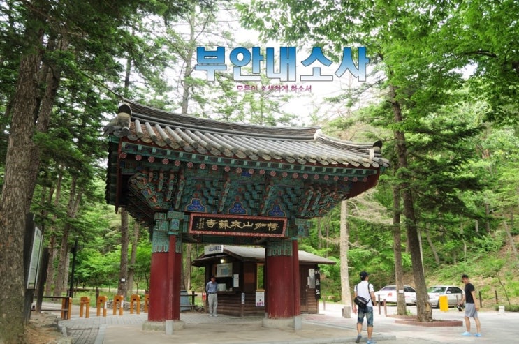 전라남도부안내소사부안내소사변산반도내소사내소사전나무숲길능가산부안가볼만한곳변산반도가볼만한곳부안여행 네이버 블로그