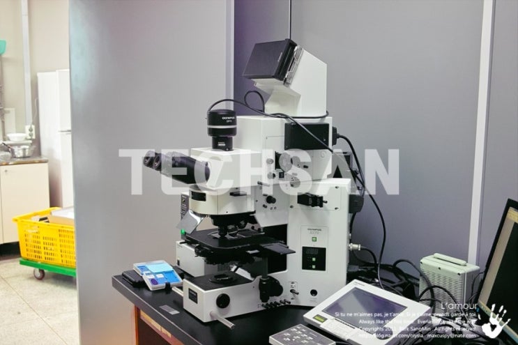 OLYMPUS AX70 PROVIS (올림푸스 연구용 전동현미경) & DP73 : 네이버 블로그