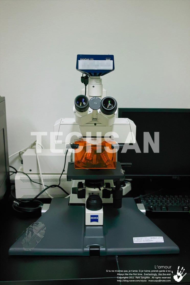 ZEISS Axiostar plus & AxioCam HRc : 네이버 블로그